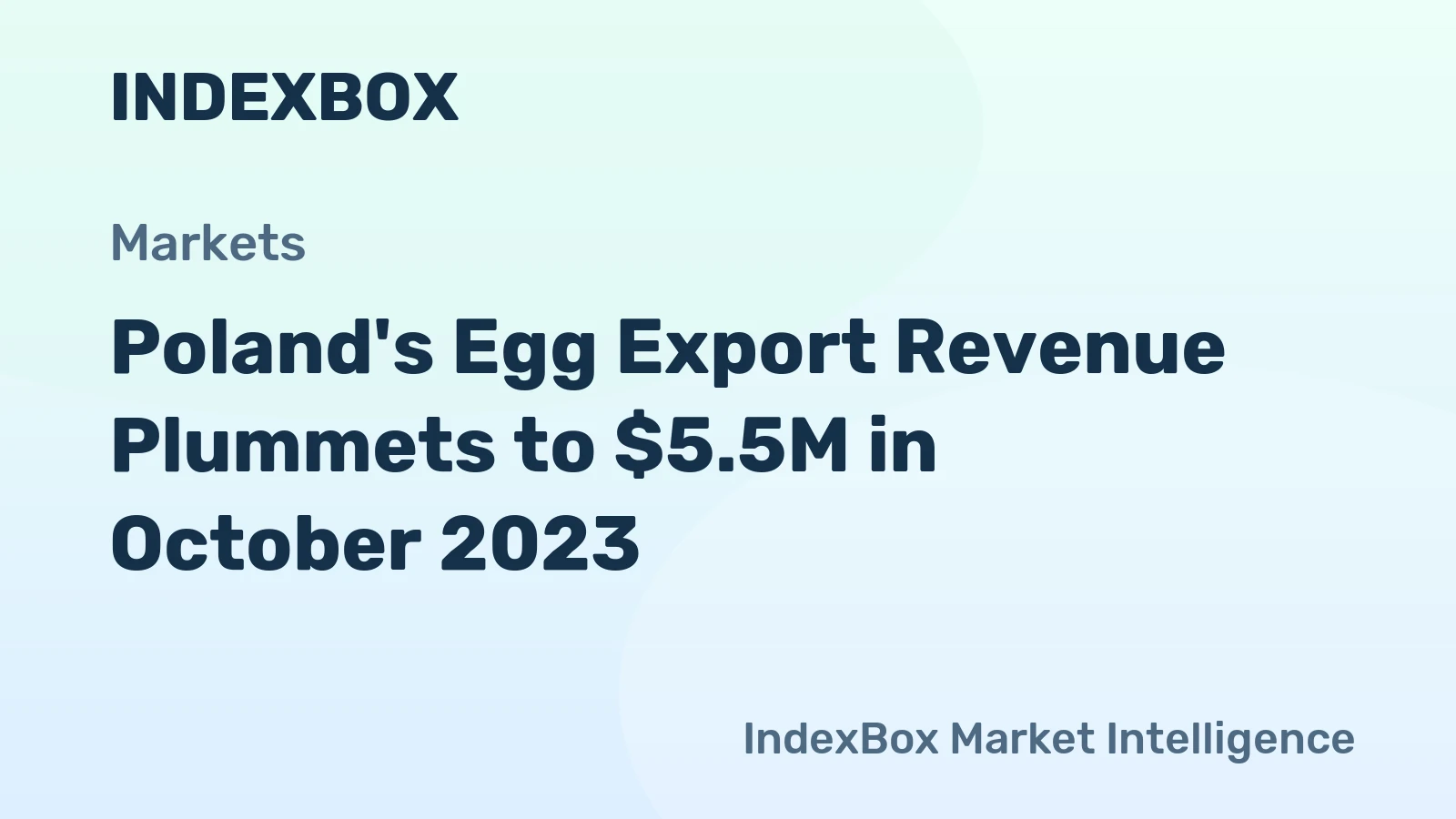 Poland's Egg Export Revenue Plummets to $5.5M in October 2023