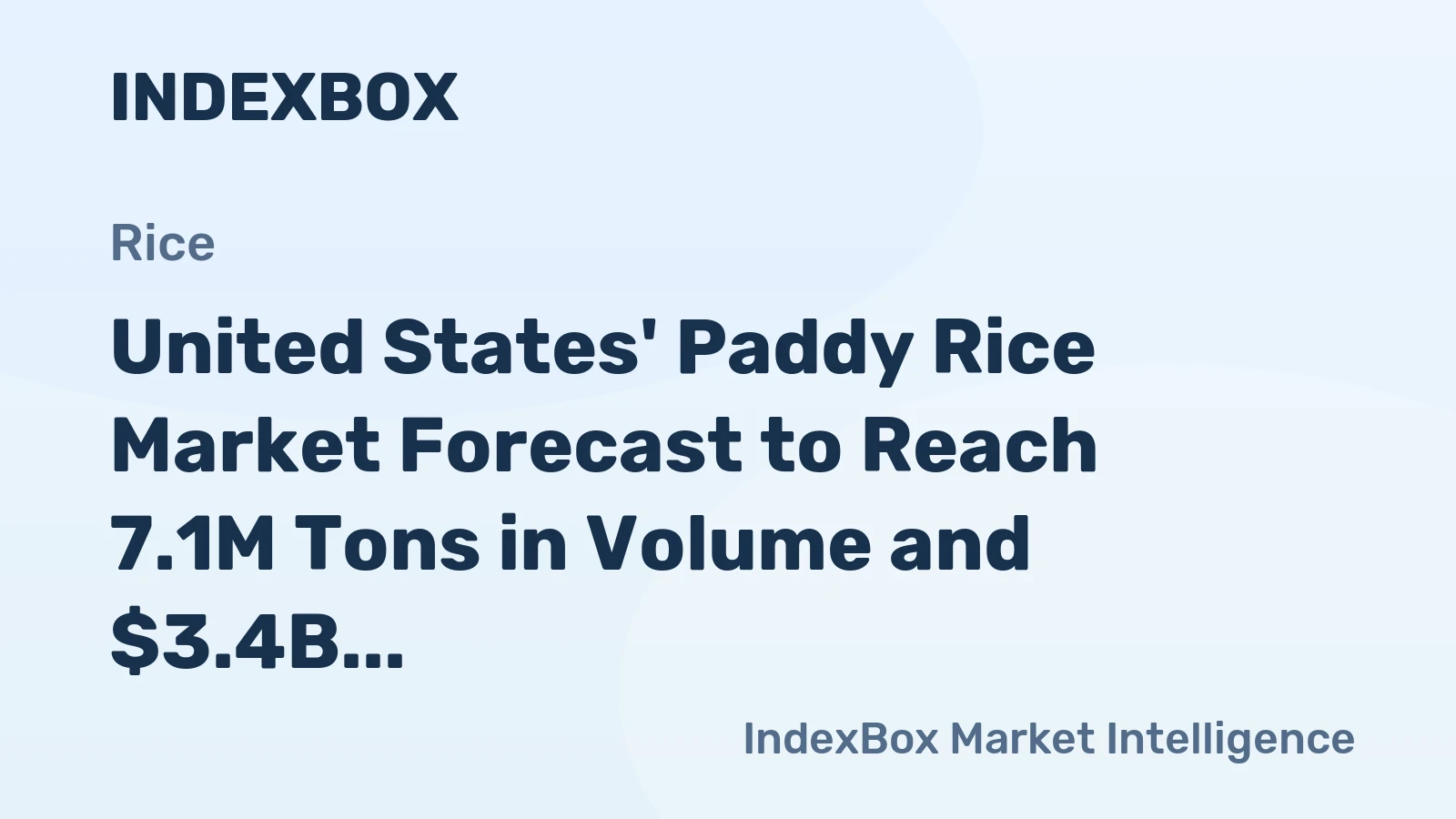 United States' Paddy Rice Market Forecast to Reach 7.1M Tons in Volume and $3.4B in Value by 2035