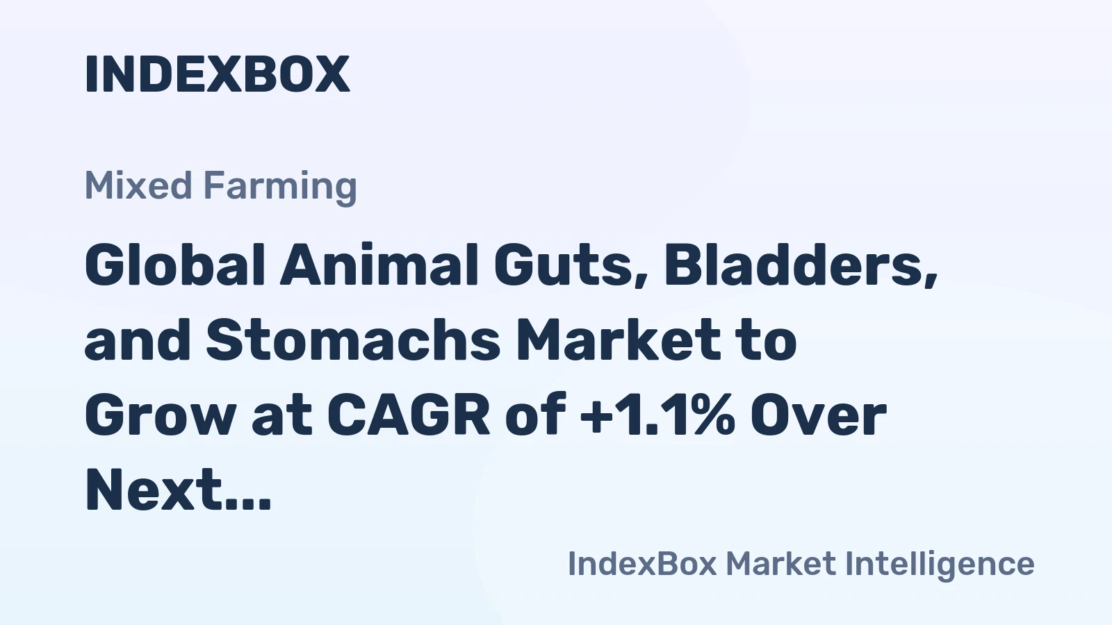 Global Animal Guts, Bladders, and Stomachs Market to Grow at CAGR of +1.1% Over Next Decade