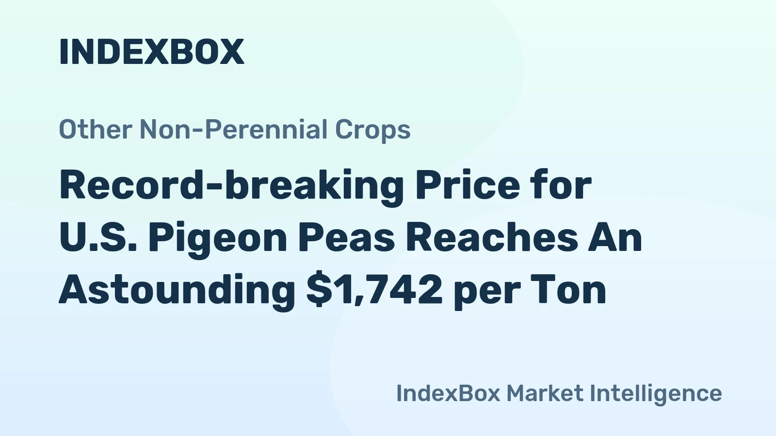 Record-breaking Price for U.S. Pigeon Peas Reaches An Astounding $1,742 per Ton