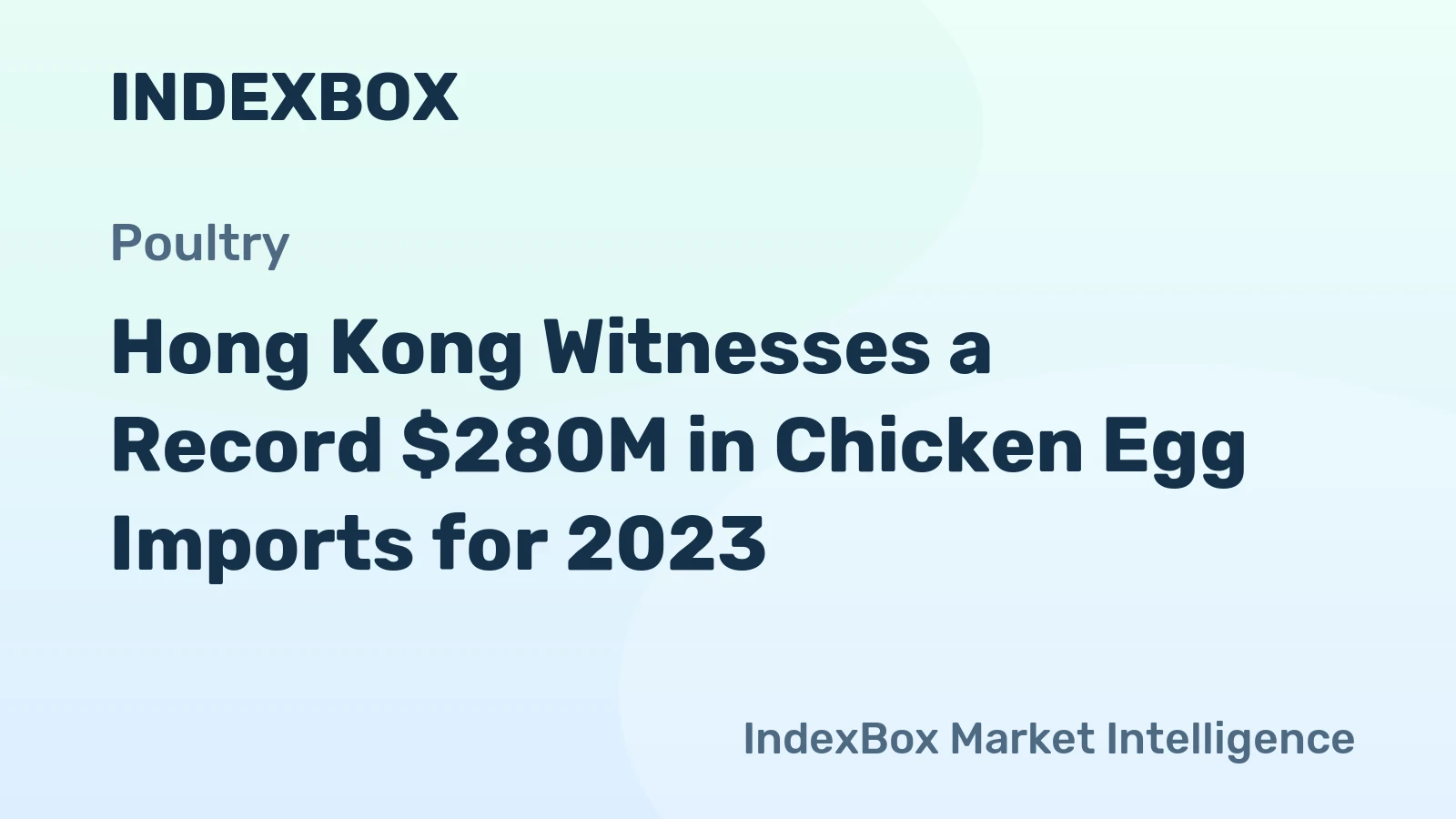 Hong Kong Witnesses a Record $280M in Chicken Egg Imports for 2023