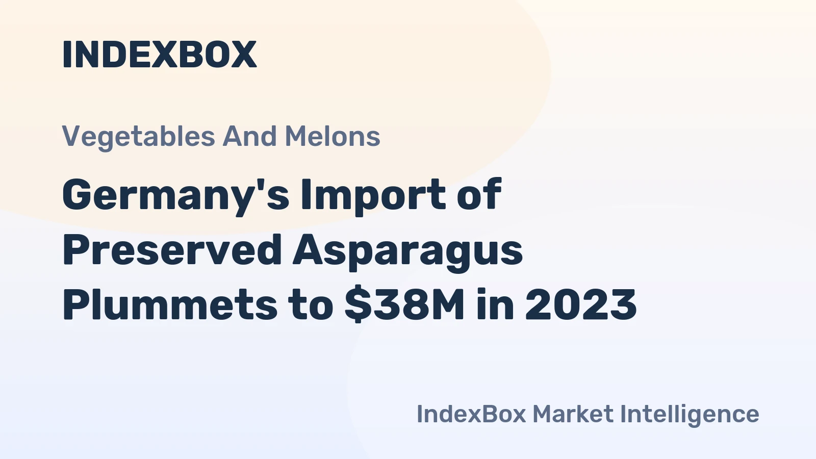 Germany's Import of Preserved Asparagus Plummets to $38M in 2023