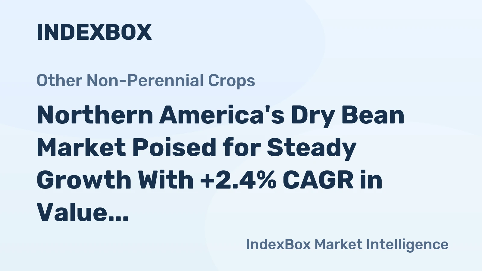 Northern America's Dry Bean Market Poised for Steady Growth With +2.4% CAGR in Value