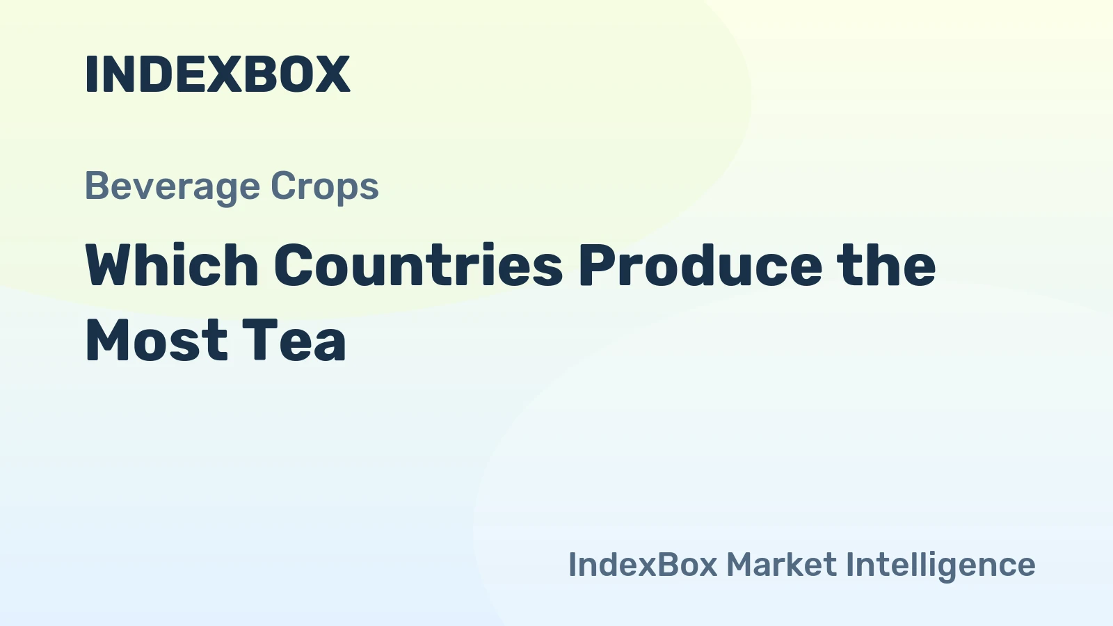 Which Countries Produce the Most Tea?