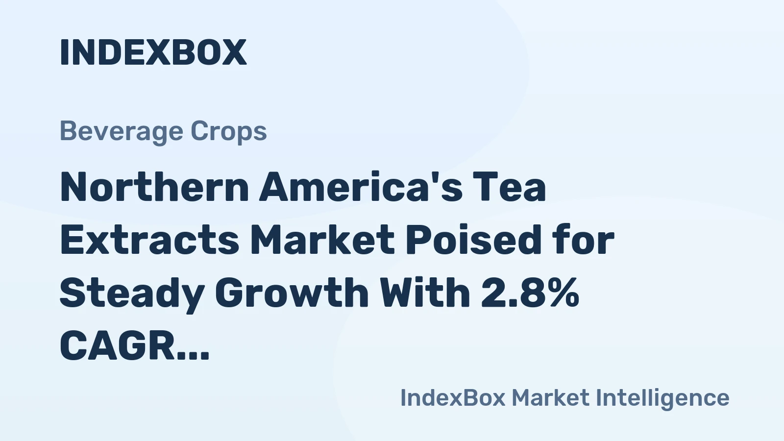 Northern America's Tea Extracts Market Poised for Steady Growth With 2.8% CAGR Forecast