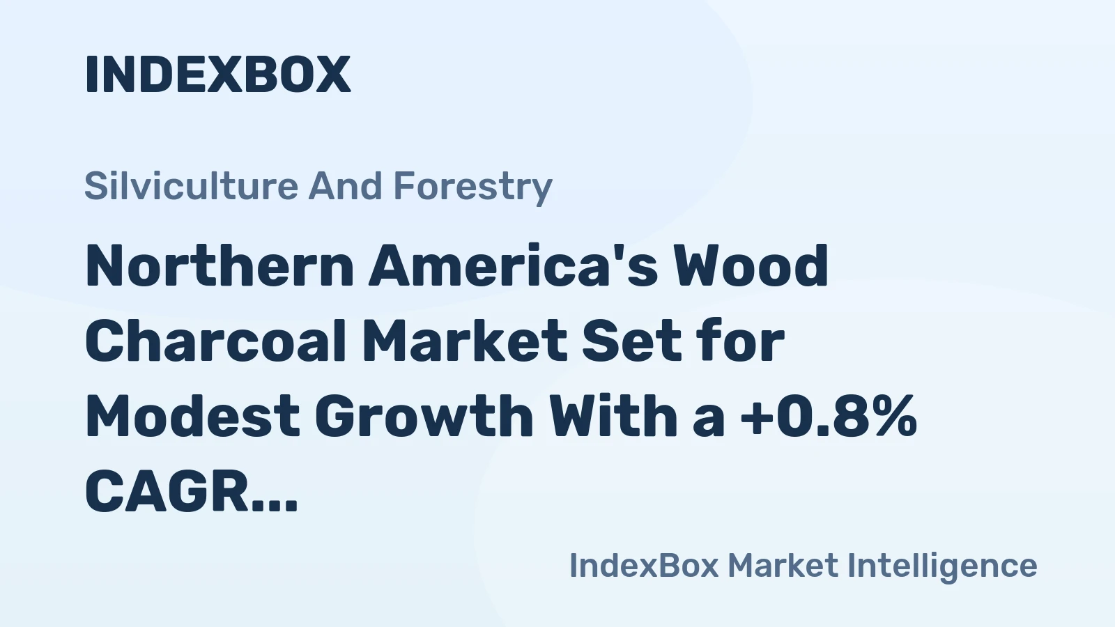 Northern America's Wood Charcoal Market Set for Modest Growth With a +0.8% CAGR