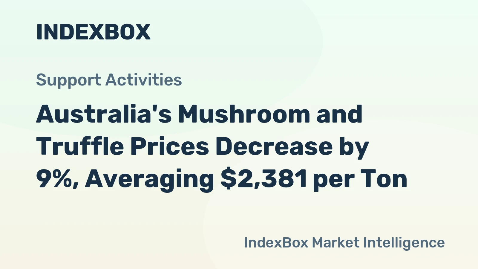 Australia's Mushroom and Truffle Prices Decrease by 9%, Averaging $2,381 per Ton