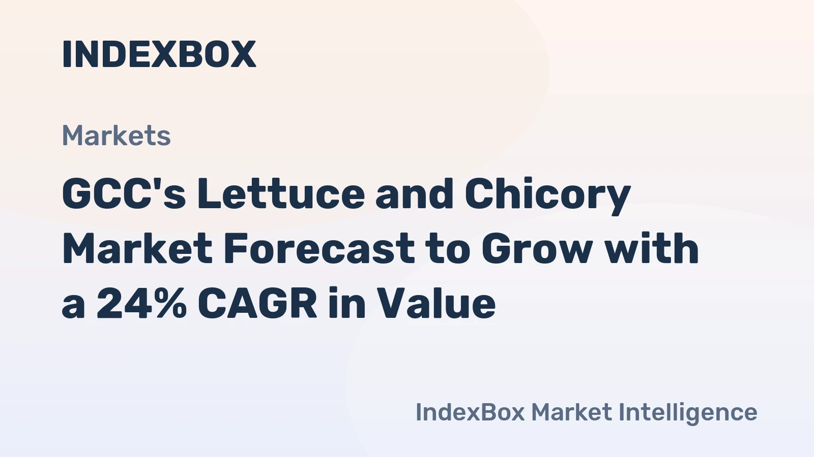 GCC's Lettuce and Chicory Market Forecast to Grow with a 24% CAGR in Value