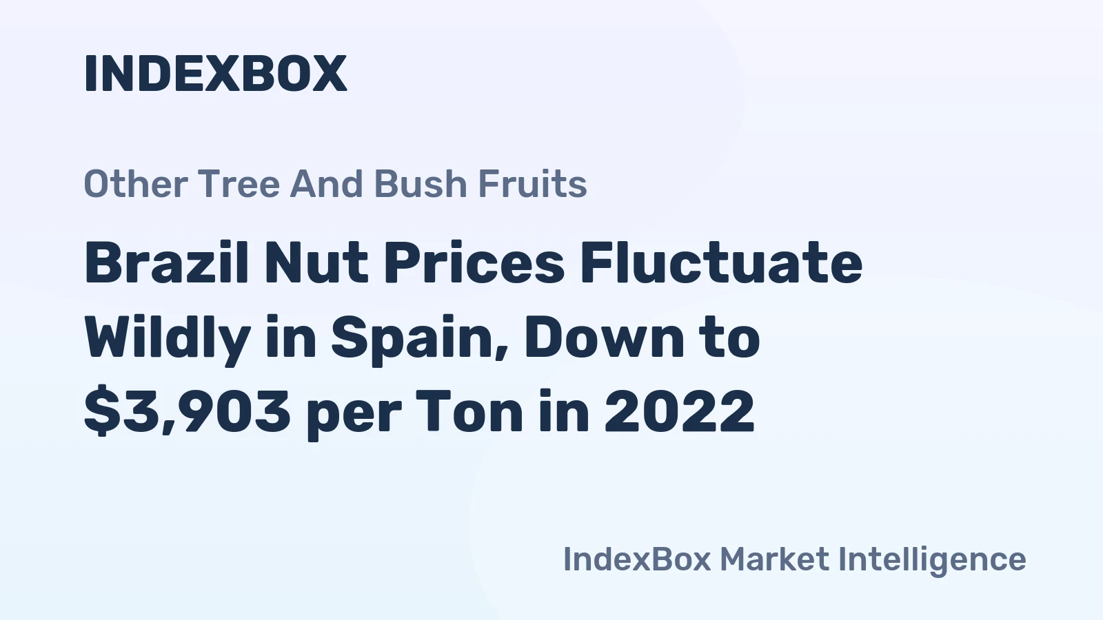 Brazil Nut Prices Fluctuate Wildly in Spain, Down to $3,903 per Ton in 2022