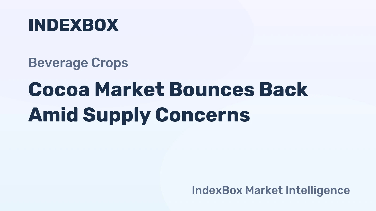 Cocoa Market Bounces Back Amid Supply Concerns