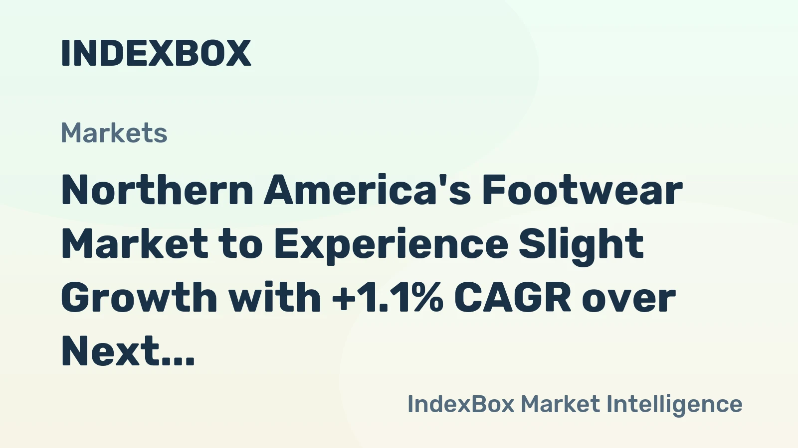 Northern America's Footwear Market to Experience Slight Growth with +1.1% CAGR over Next Decade