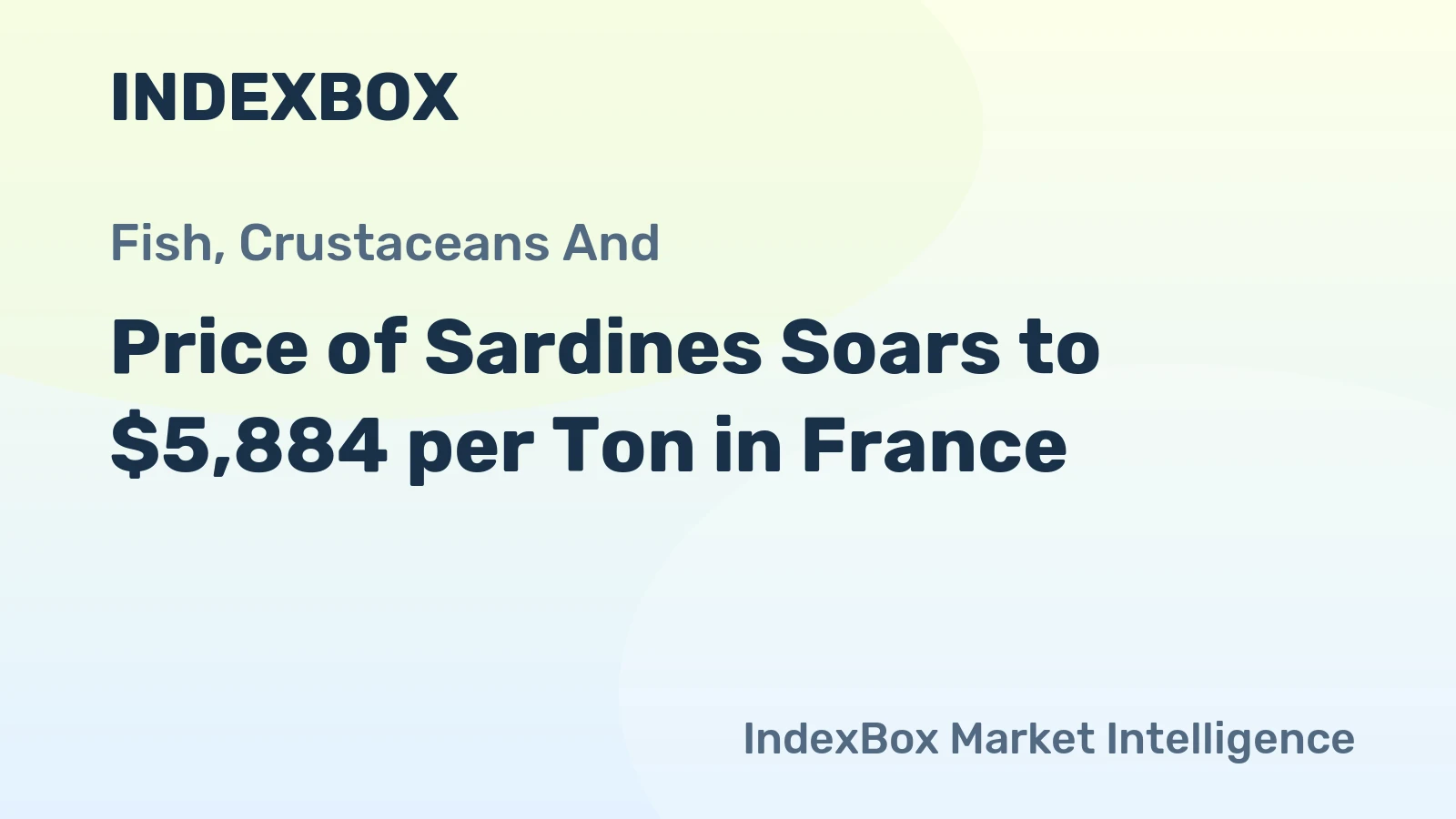 Price of Sardines Soars to $5,884 per Ton in France