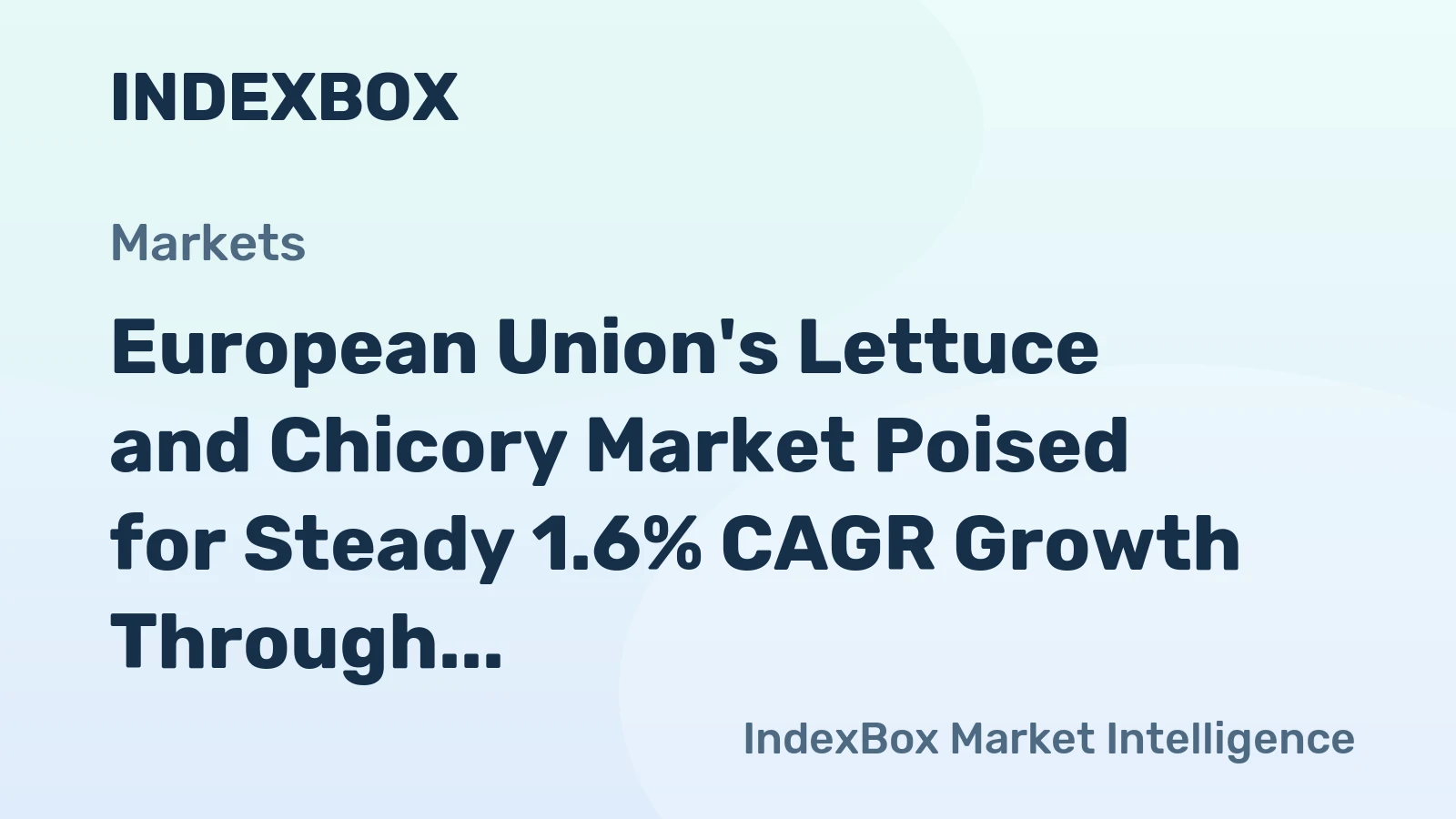 European Union's Lettuce and Chicory Market Poised for Steady 1.6% CAGR Growth Through 2035