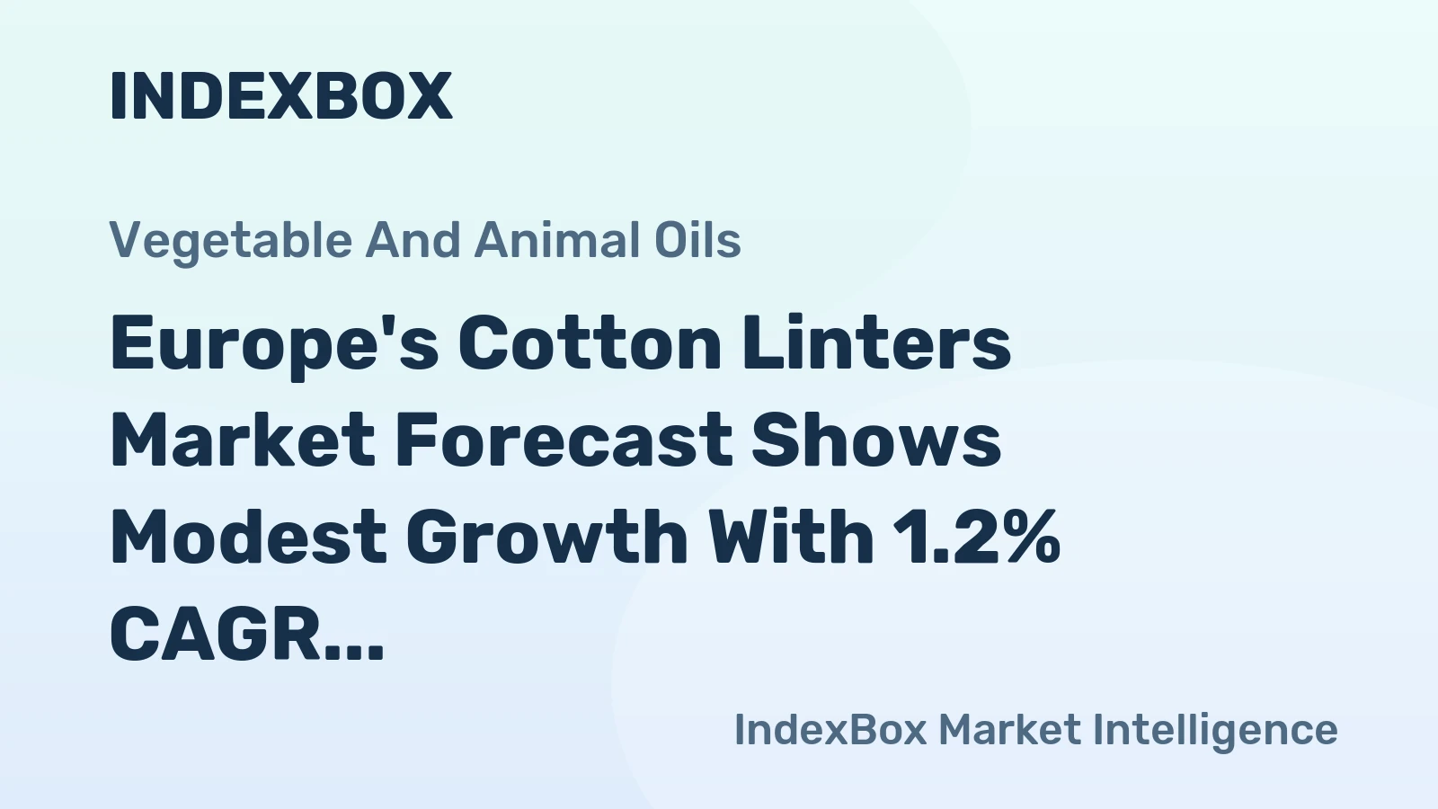 Europe's Cotton Linters Market Forecast Shows Modest Growth With 1.2% CAGR in Value