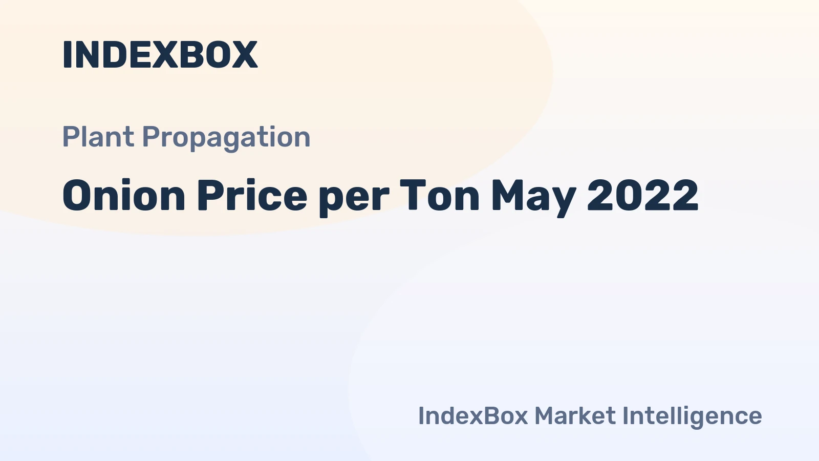 Onion Price per Ton May 2022