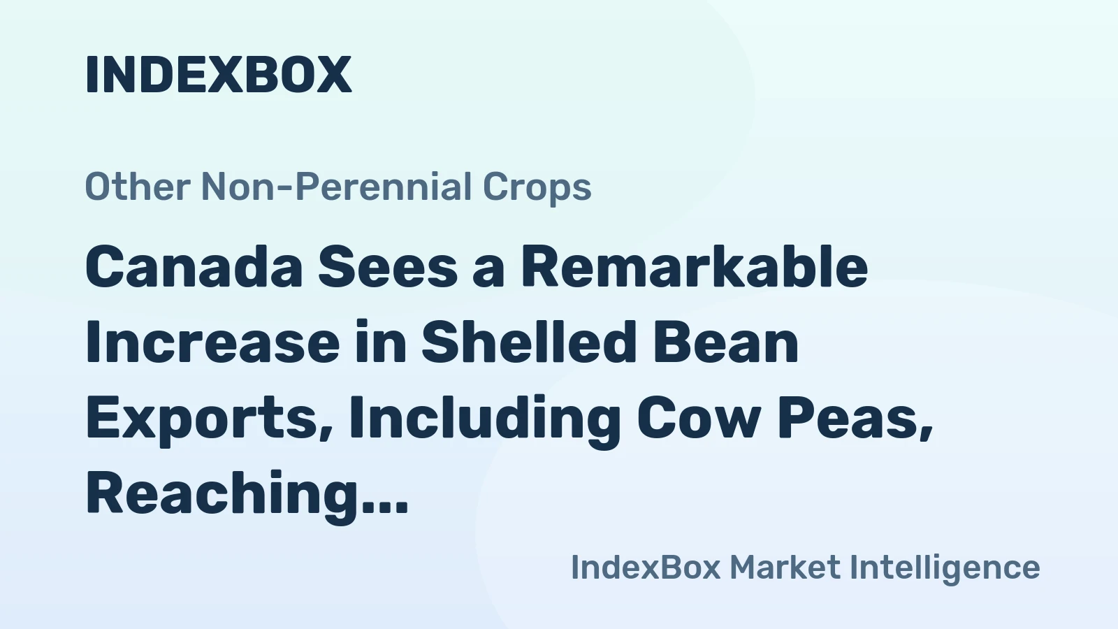 Canada Sees a Remarkable Increase in Shelled Bean Exports, Including Cow Peas, Reaching $481 Million in 2023