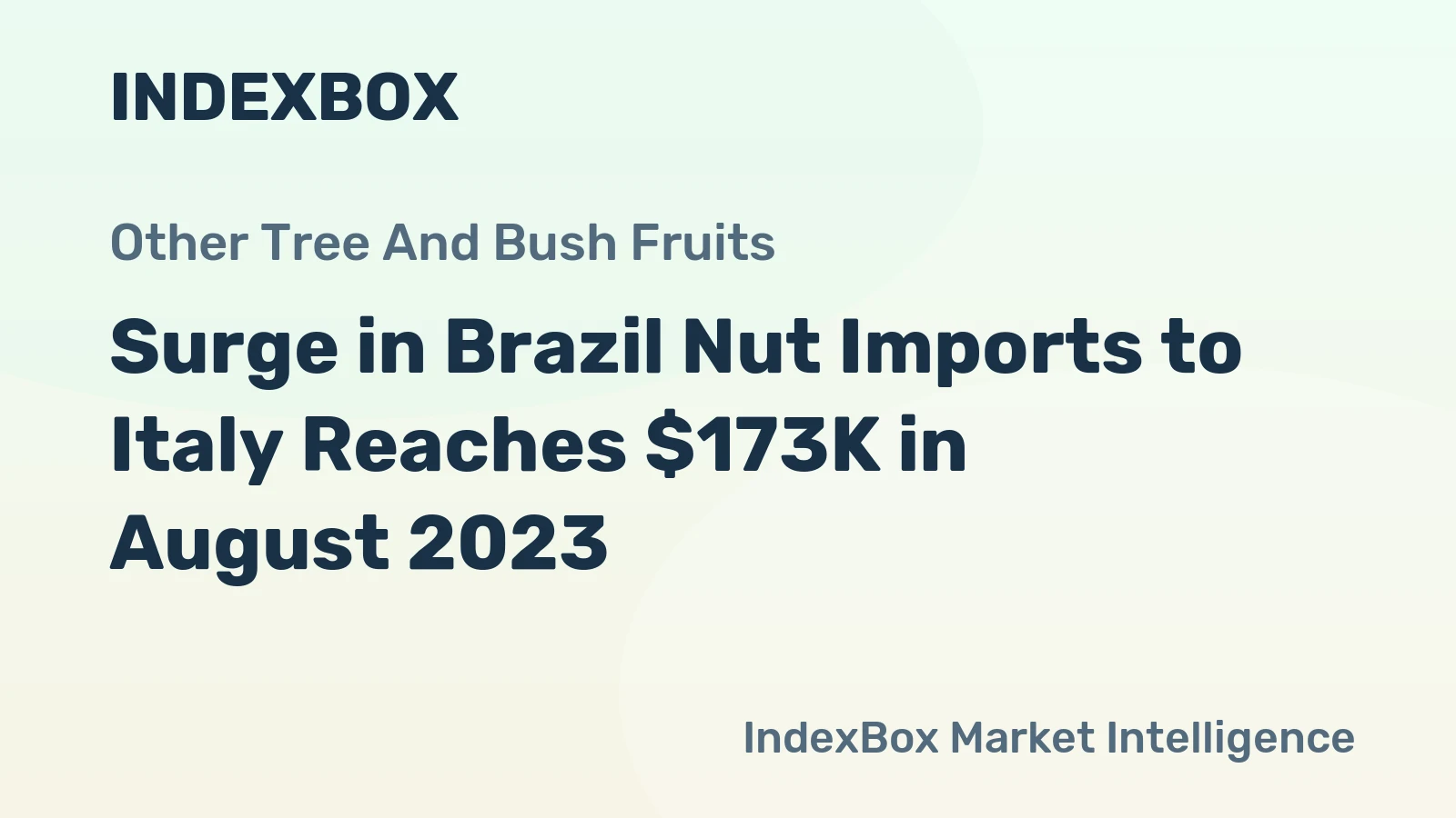Surge in Brazil Nut Imports to Italy Reaches $173K in August 2023