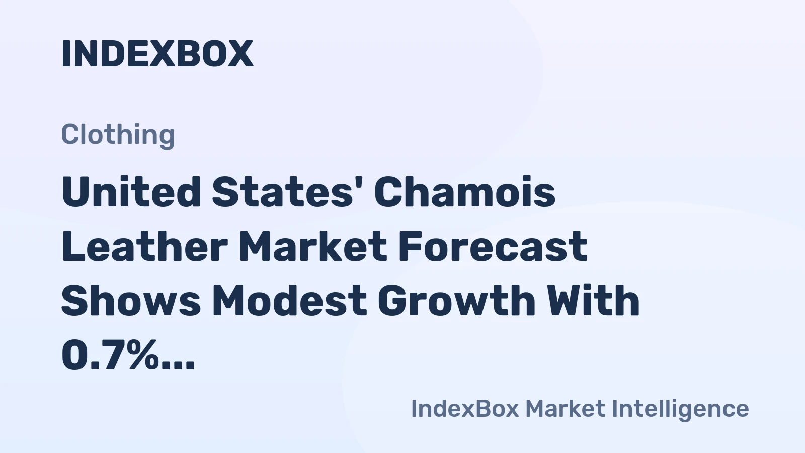 United States' Chamois Leather Market Forecast Shows Modest Growth With 0.7% CAGR in Value