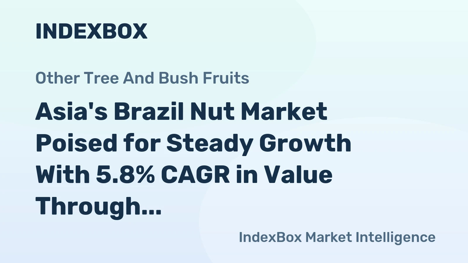 Asia's Brazil Nut Market Poised for Steady Growth With 5.8% CAGR in Value Through 2035