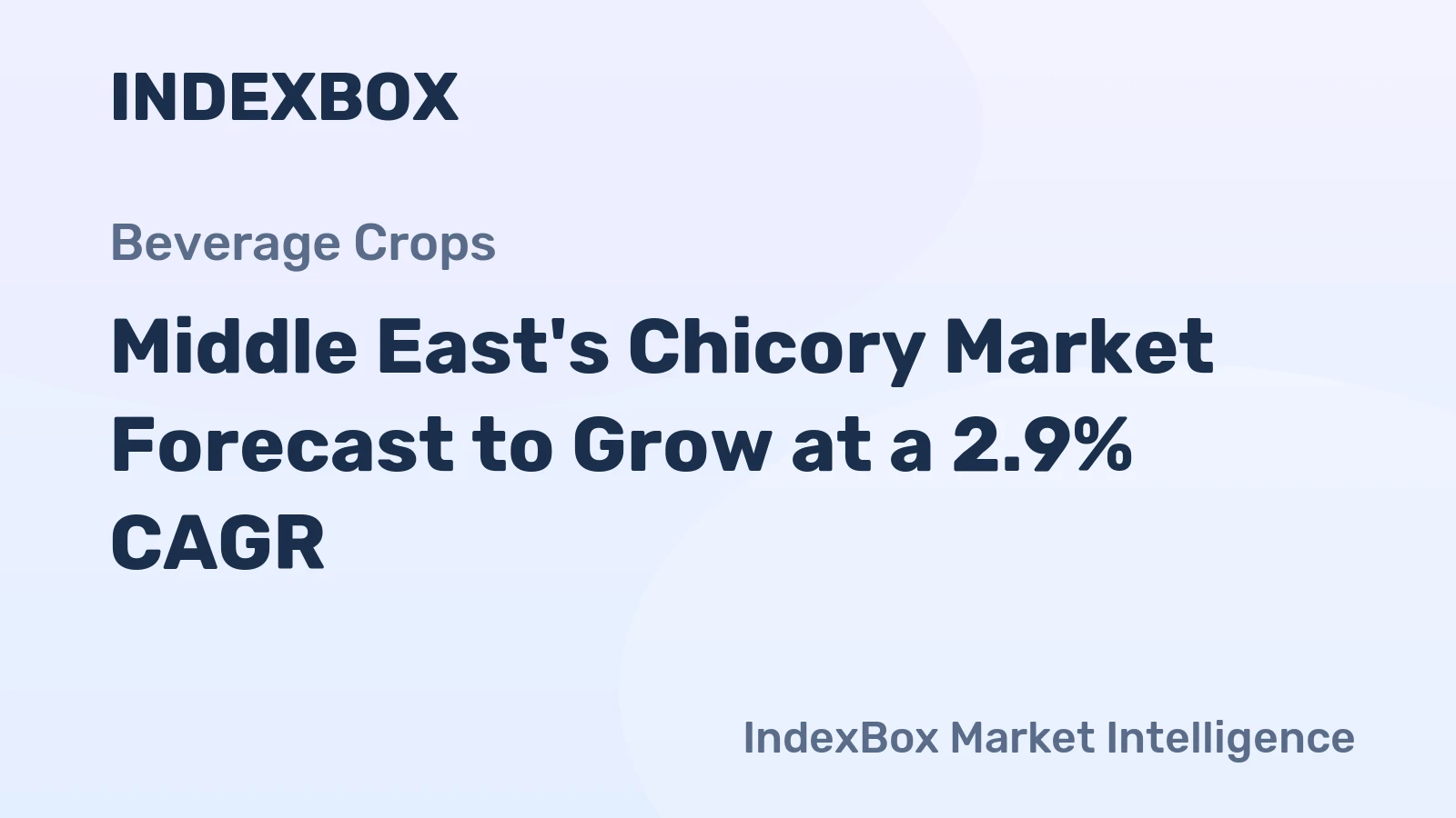 Middle East's Chicory Market Forecast to Grow at a 2.9% CAGR