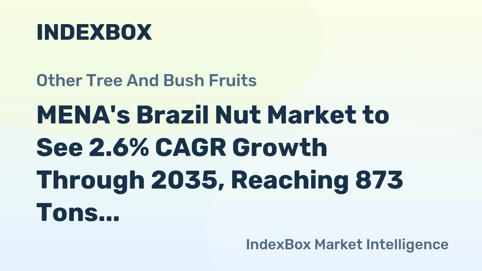 MENA's Brazil Nut Market to See 2.6% CAGR Growth Through 2035, Reaching 873 Tons