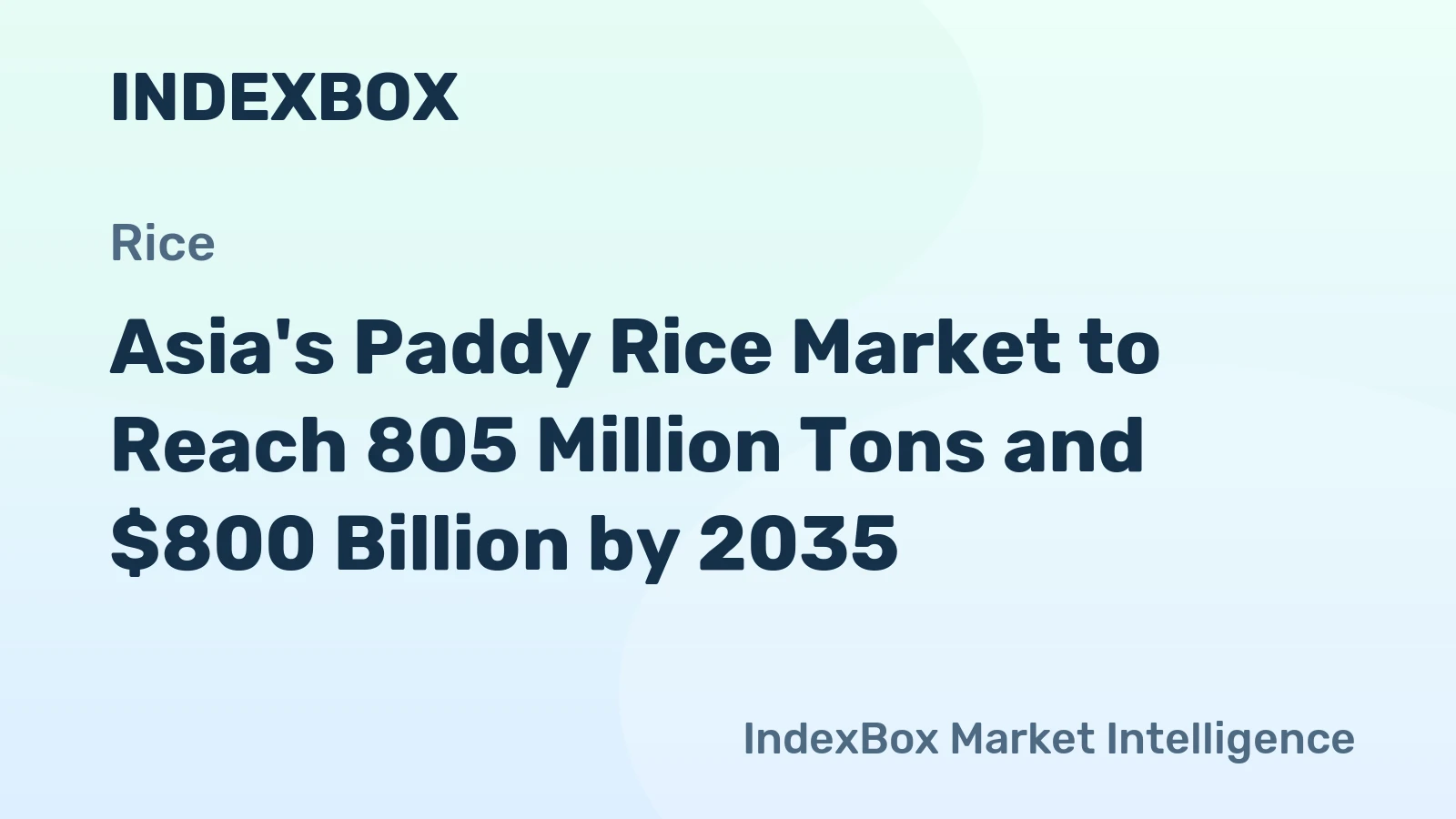 Asia's Paddy Rice Market to Reach 805 Million Tons and $800 Billion by 2035