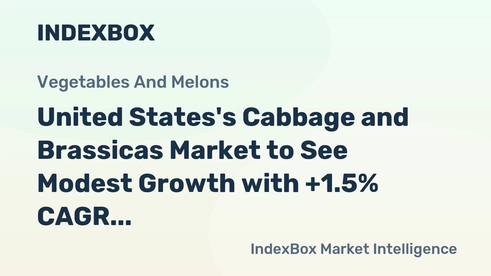 United States's Cabbage and Brassicas Market to See Modest Growth with +1.5% CAGR from 2024 to 2035