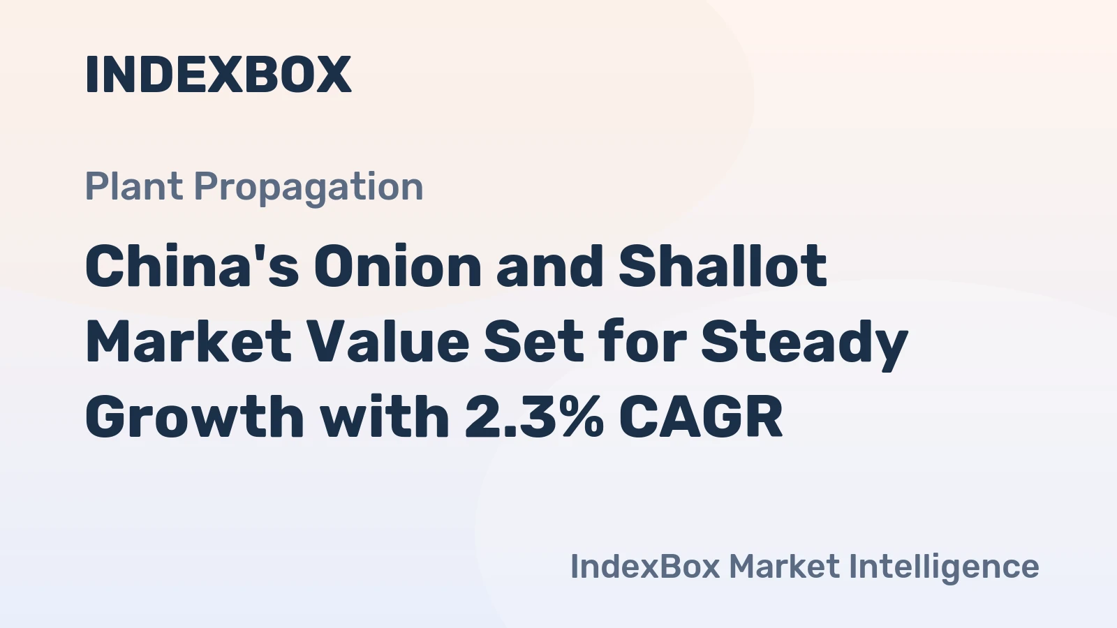 China's Onion and Shallot Market Value Set for Steady Growth with 2.3% CAGR