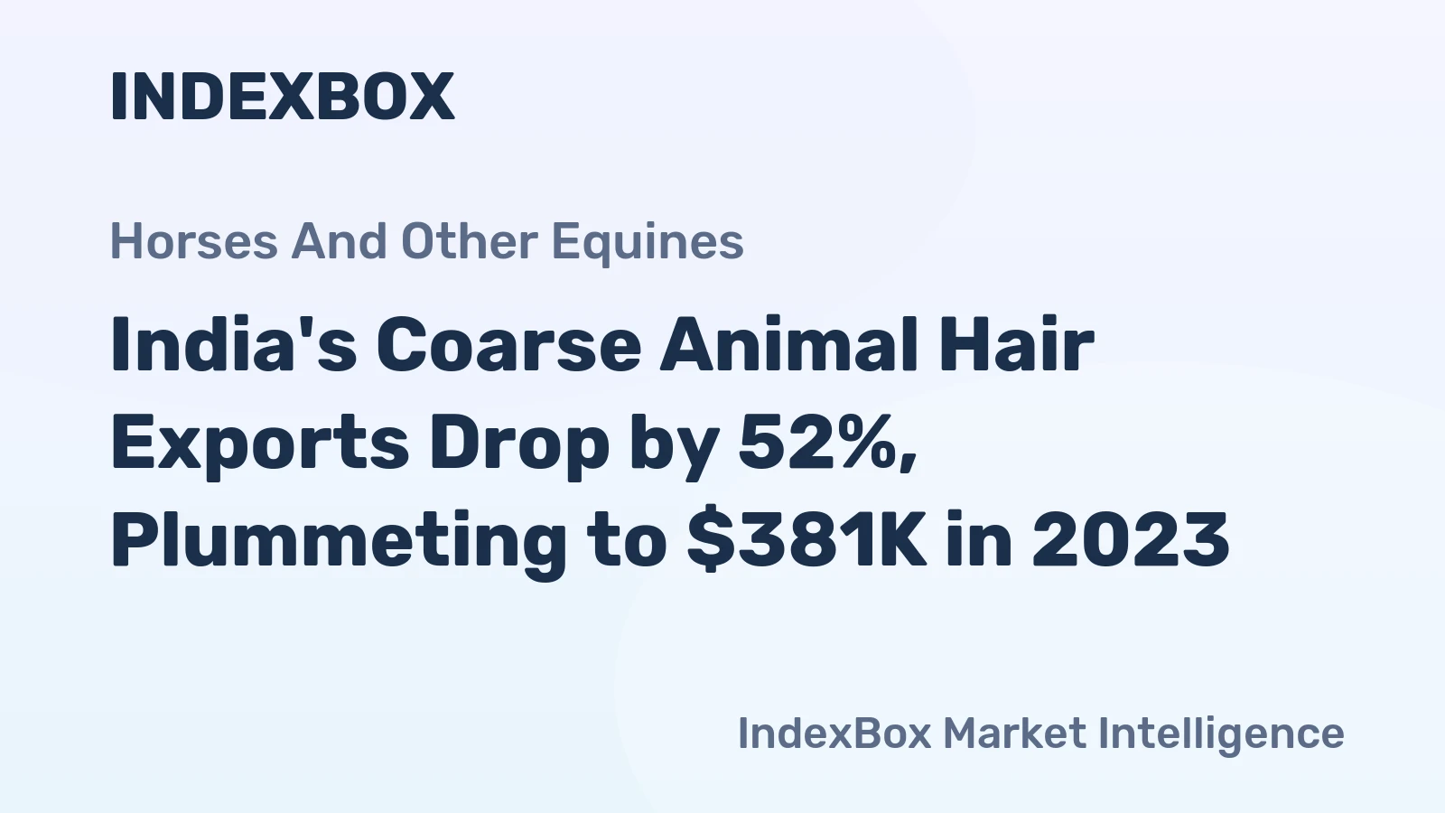 India's Coarse Animal Hair Exports Drop by 52%, Plummeting to $381K in 2023