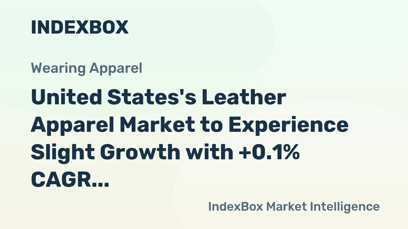 United States's Leather Apparel Market to Experience Slight Growth with +0.1% CAGR Over Next Decade