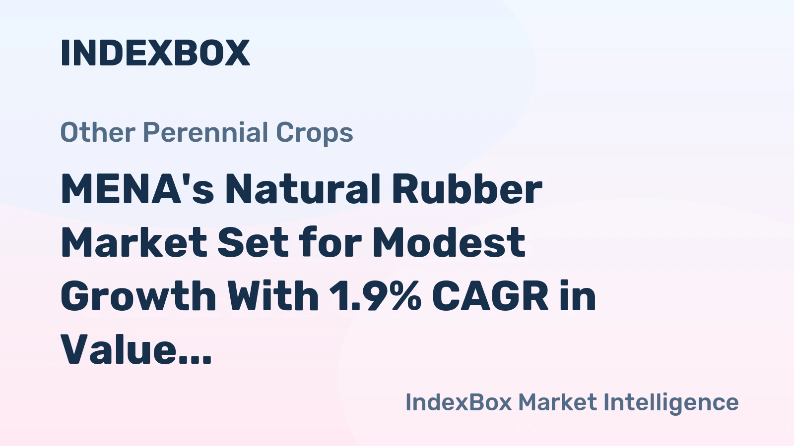 MENA's Natural Rubber Market Set for Modest Growth With 1.9% CAGR in Value