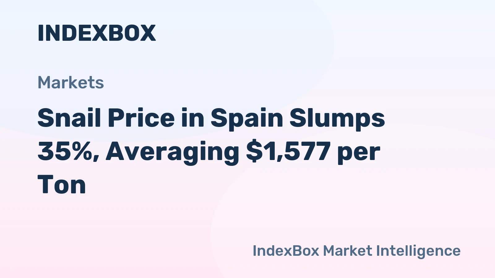 Snail Price in Spain Slumps 35%, Averaging $1,577 per Ton