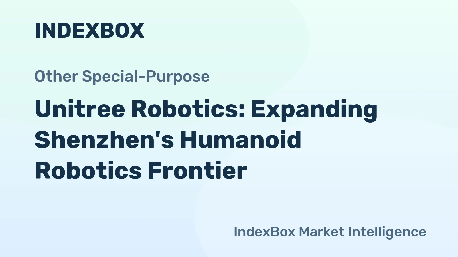 Unitree Robotics: Expanding Shenzhen's Humanoid Robotics Frontier