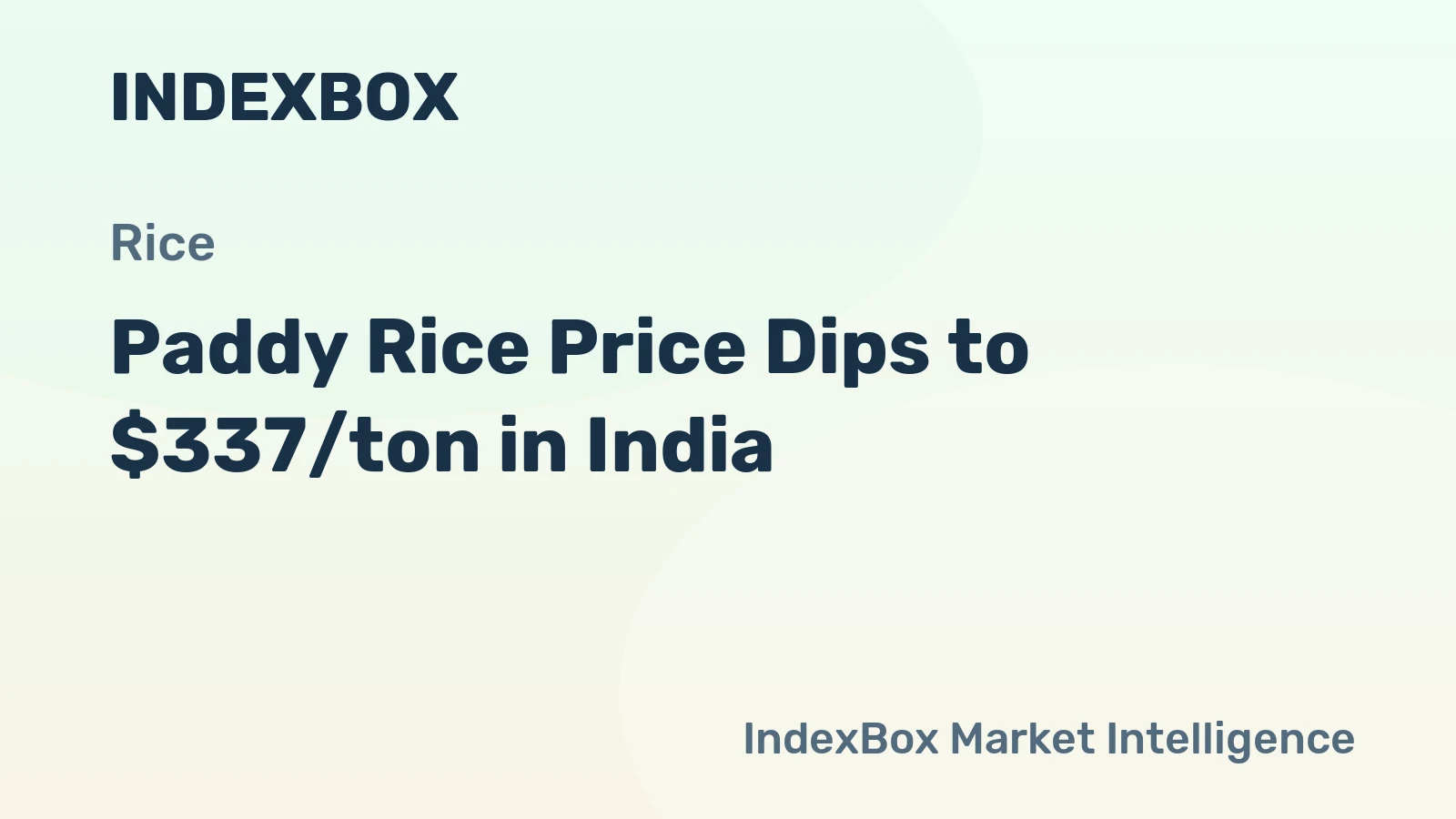Paddy Rice Price Dips to $337/ton in India
