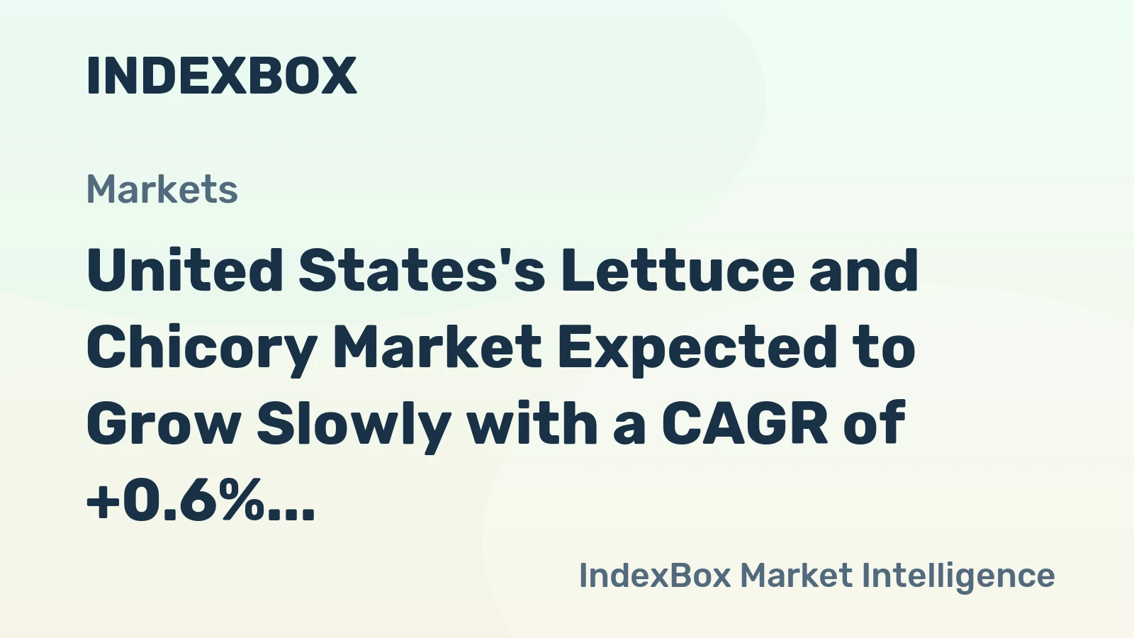United States's Lettuce and Chicory Market Expected to Grow Slowly with a CAGR of +0.6% by 2035