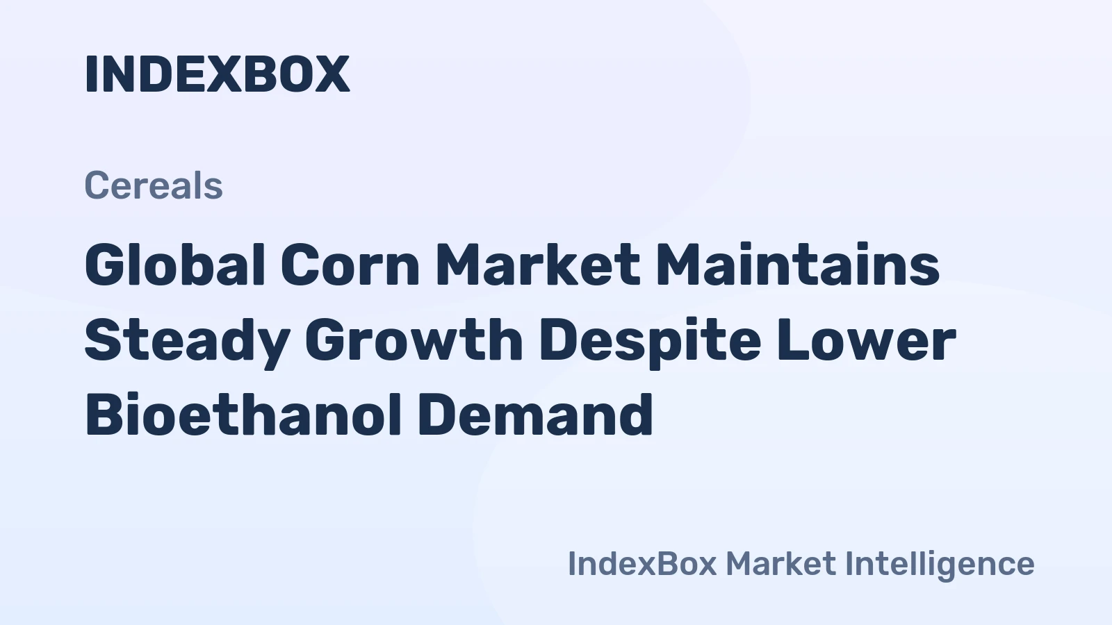 Global Corn Market Maintains Steady Growth Despite Lower Bioethanol Demand 