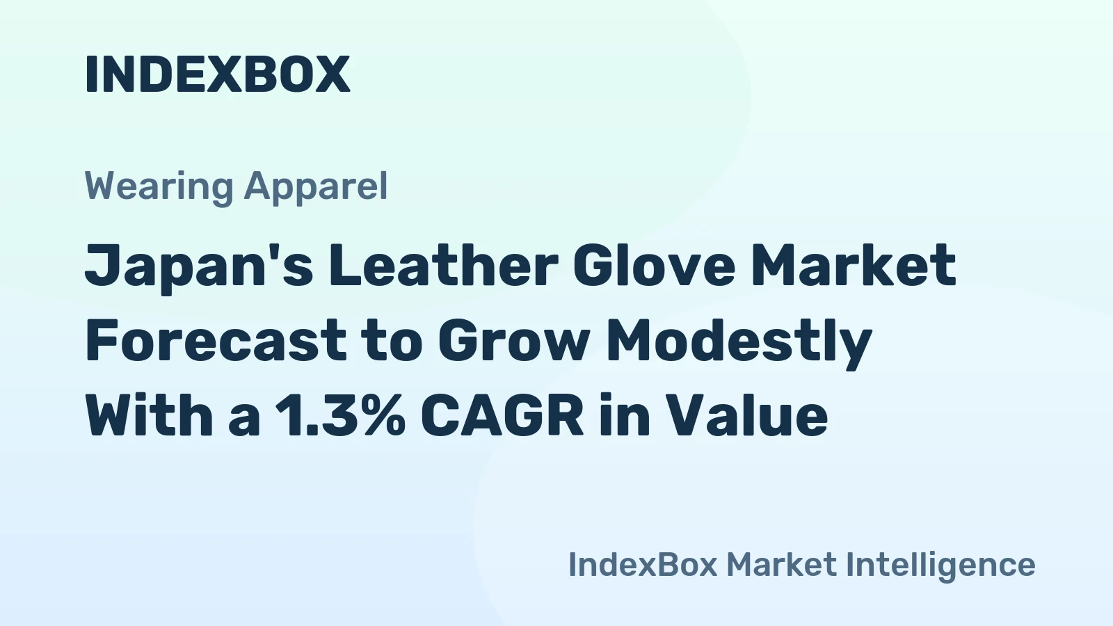 Japan's Leather Glove Market Forecast to Grow Modestly With a 1.3% CAGR in Value