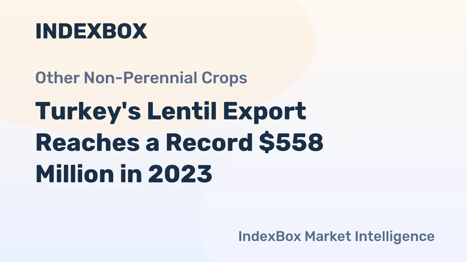 Turkey's Lentil Export Reaches a Record $558 Million in 2023