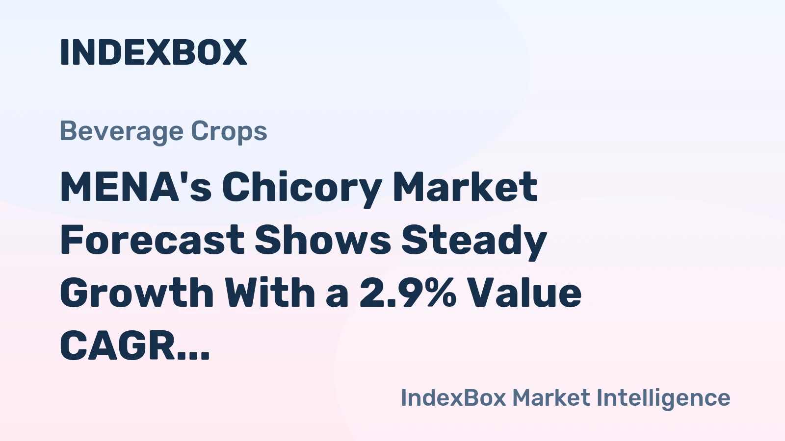 MENA's Chicory Market Forecast Shows Steady Growth With a 2.9% Value CAGR