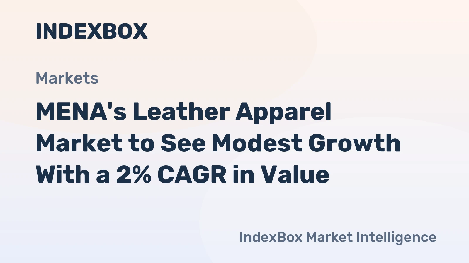 MENA's Leather Apparel Market to See Modest Growth With a 2% CAGR in Value
