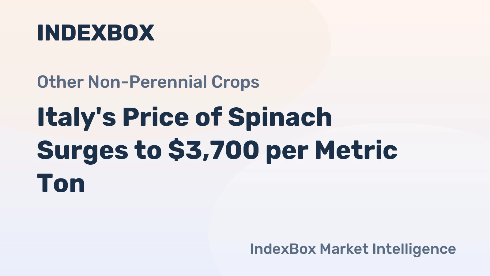 Italy's Price of Spinach Surges to $3,700 per Metric Ton