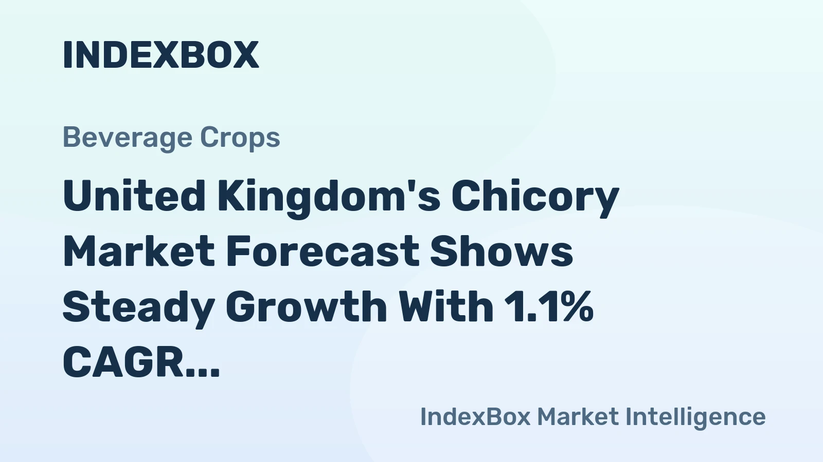 United Kingdom's Chicory Market Forecast Shows Steady Growth With 1.1% CAGR