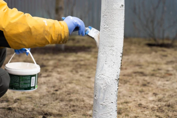 The Largest Import Markets for Glaziers, Grafting Putty, and Painters Filling