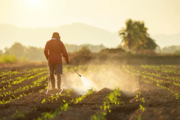 France's Herbicide Price Soars 17%, Averaging $15.6 per kg