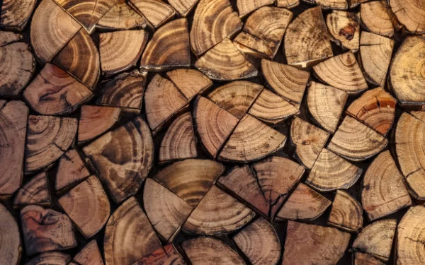 Best Import Markets for Industrial Roundwood (Coniferous)