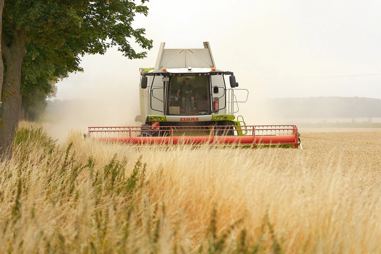 COCERAL Forecasts 2026 EU Grain Harvest at 296.7 Million Tonnes, a Decline from 2025