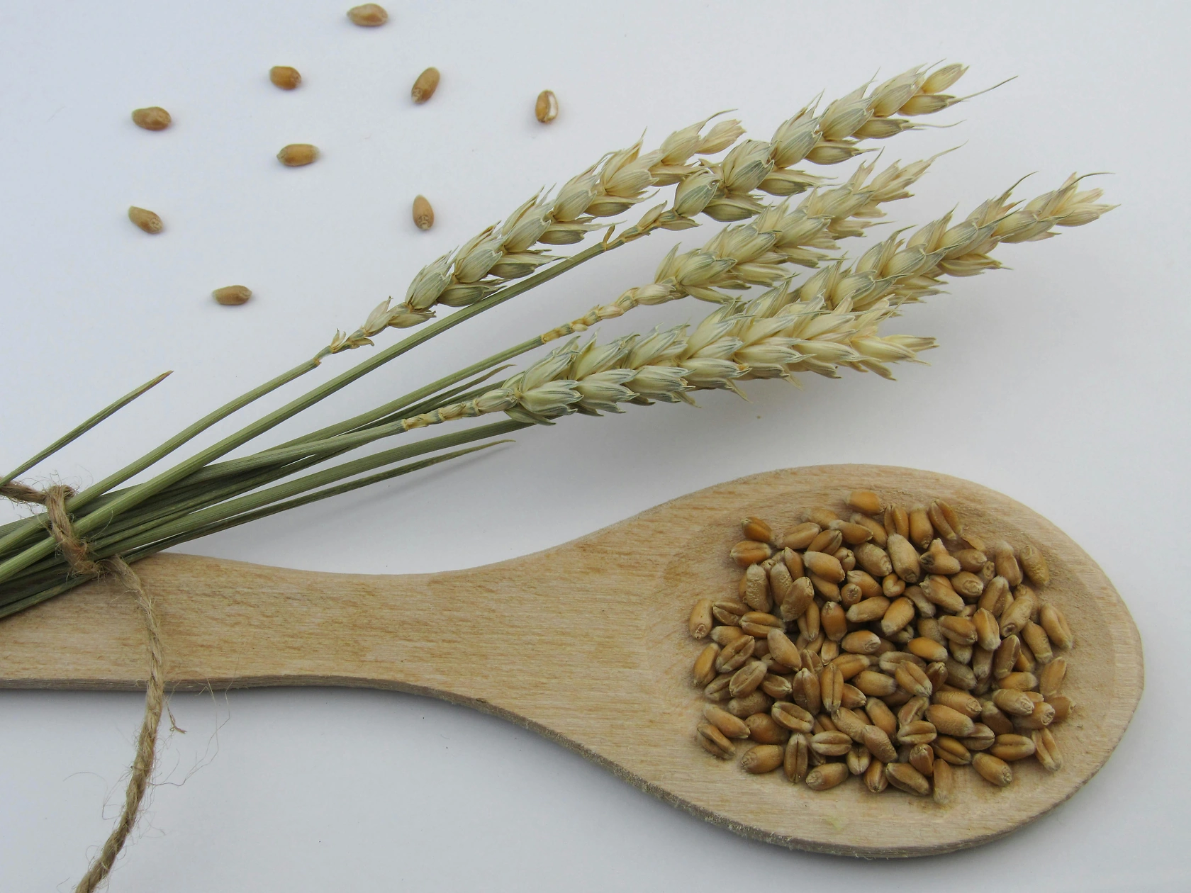 Eurostat Updates Dataset on Dry Pulses and Protein Crops (February 2026)