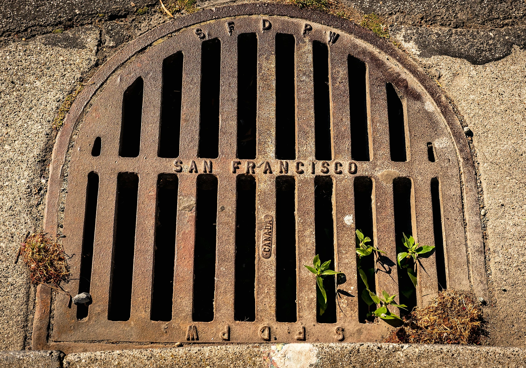 Advanced Drainage Systems Q3 2026 Earnings Beat Estimates