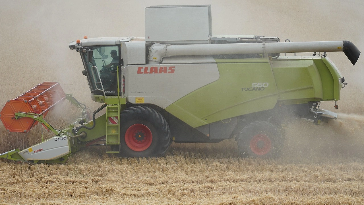 3 Small-Cap Stocks to Avoid: AGCO, Fortrea, Insperity Analysis
