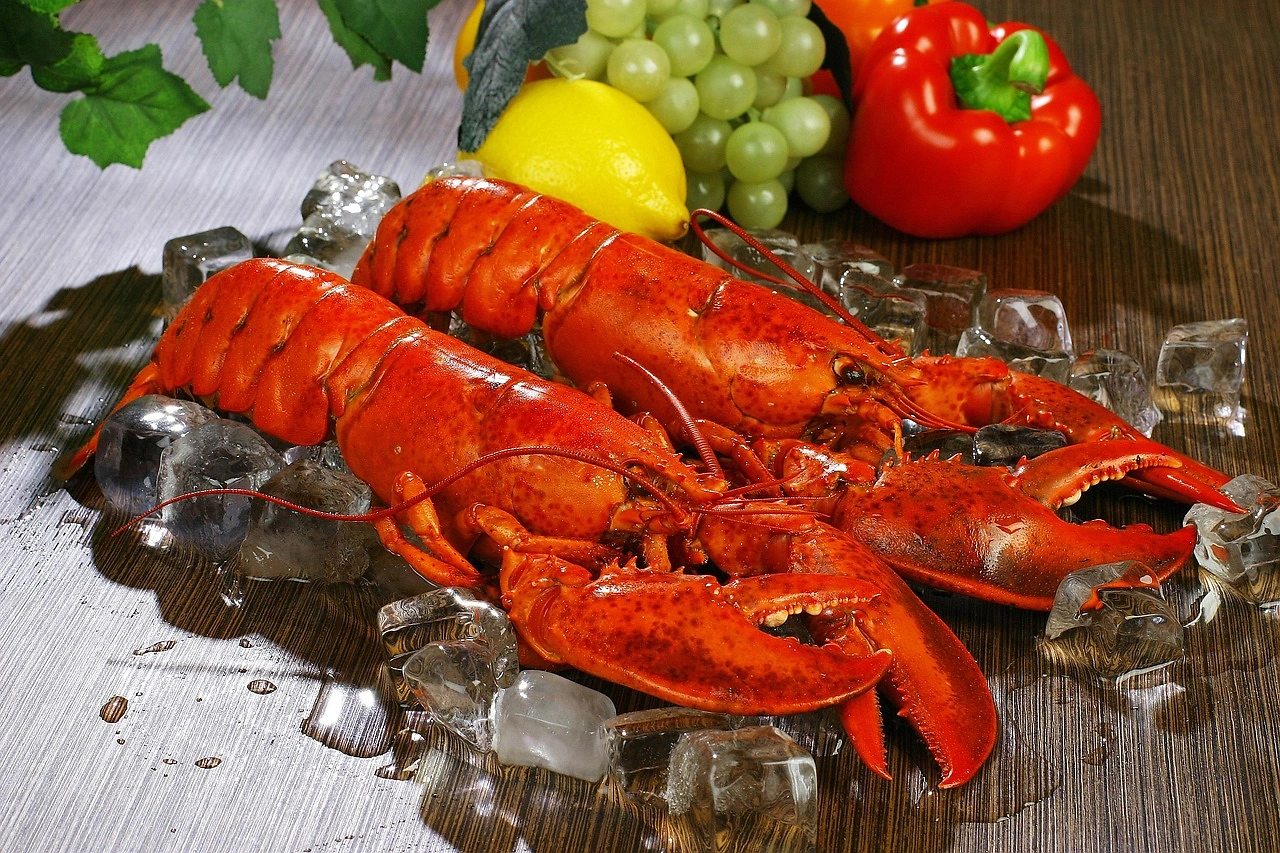 EU-US Trade Talks Aim to Keep American Lobsters Tariff-Free